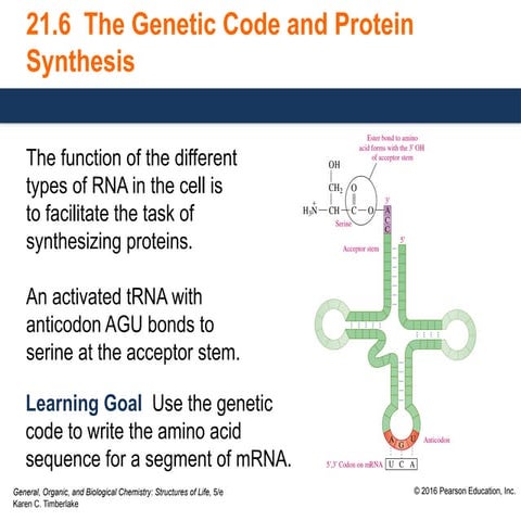 Genetic code and protien synthesis.pptx