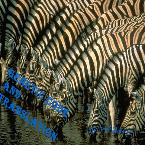 Genetic Code And Translation Ppt