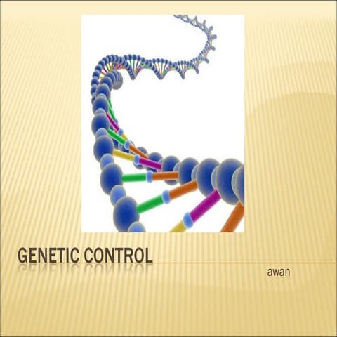 Grade 11 - Genetic Control | PPT
