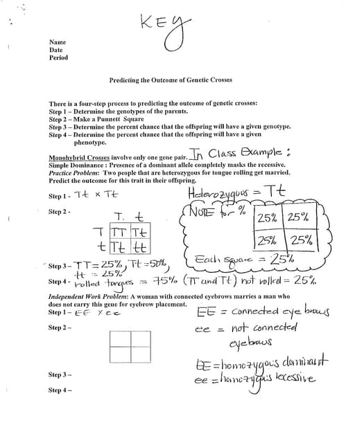 Probability+and+heredity | PPT