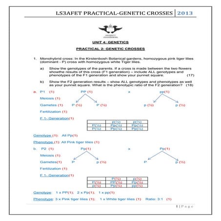 Genetic crosses worksheet | DOCX