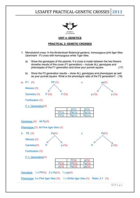 Worksheet 9 2 | PDF