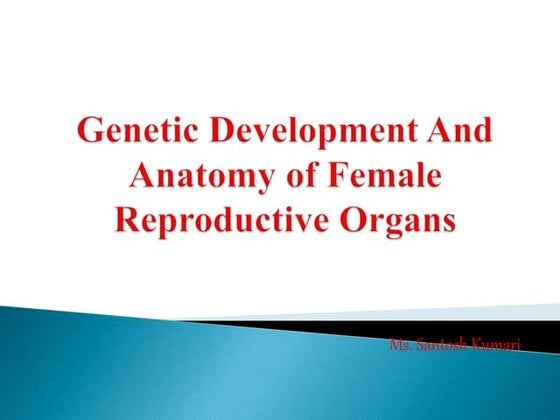 Lower uterine segment | PPT