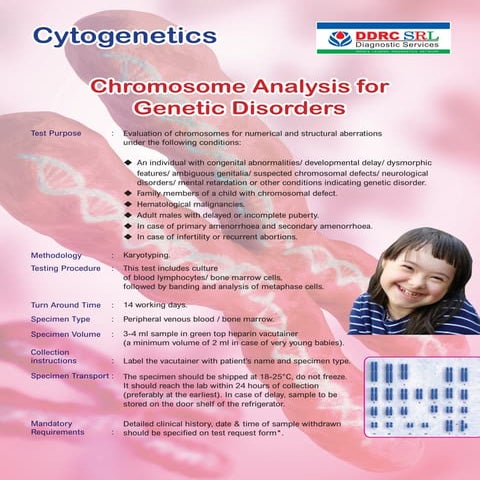 Chromosome Analysis For Genetic Disorders | PDF