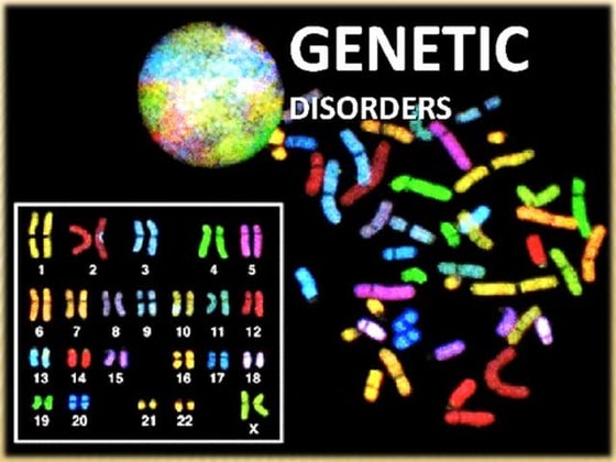 Genetic Disorders: Foundation, Types, Impact & More | The Lifesciences ...