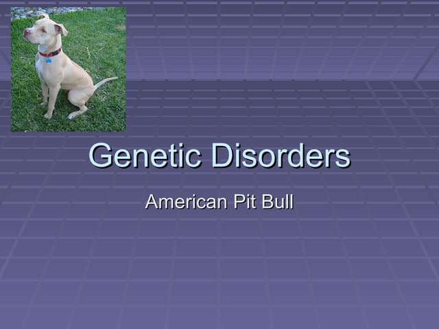 Genetic disorders in cattle | PDF