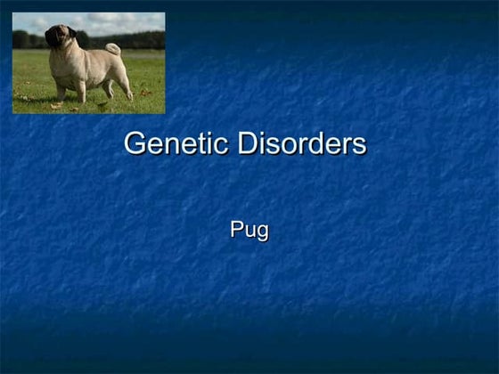 common eye disease in dogs-dogwithsickness | PDF