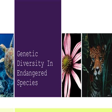 Genetic diversity in endangered organisms | PPTX