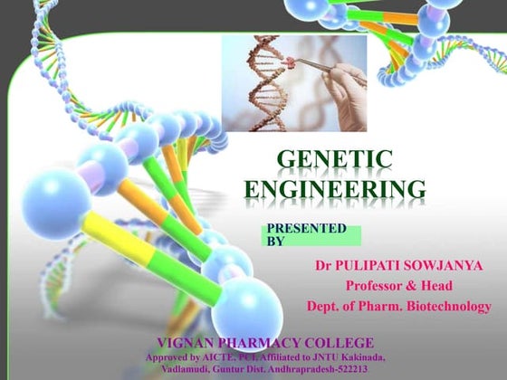 Applications of Recombinant DNA Technology | PPT