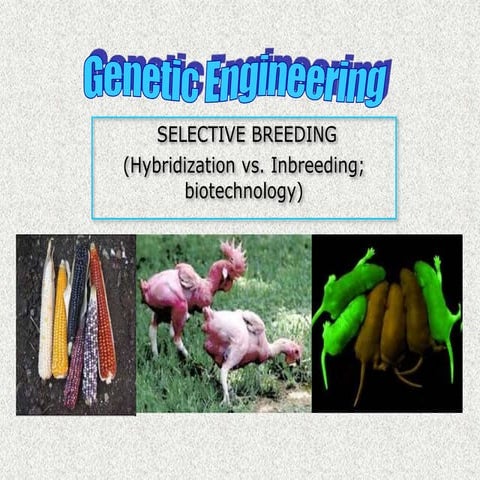 genetic engineering.ppt