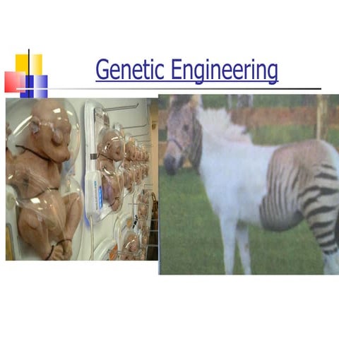 Genetic Engineering[1] | PPT