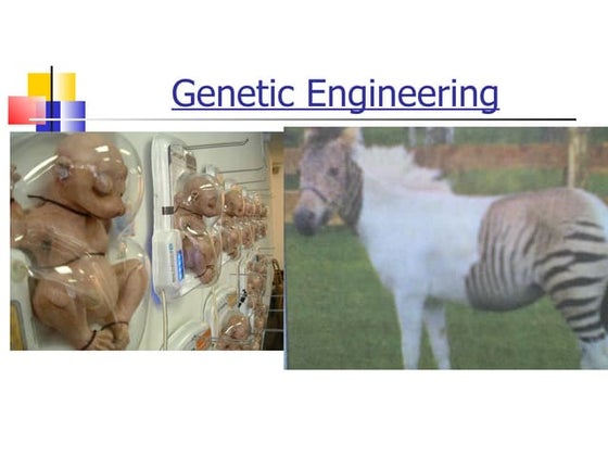 Basic principles of genetic engineering | PPT