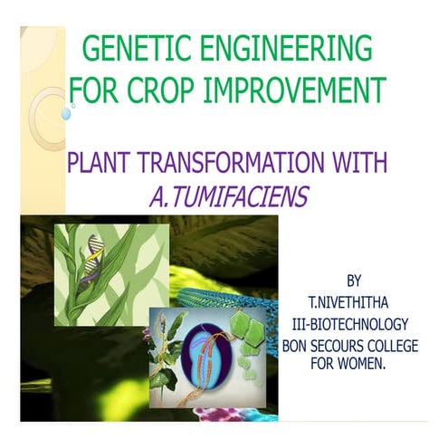 Genetic engineering for crop improvement | PDF