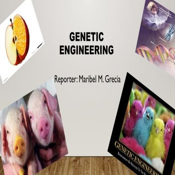 Genetic-engineering | PPT