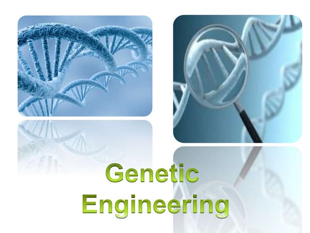 Genetic Engineering: Chapter 1- History of Genetic Engineering | PDF
