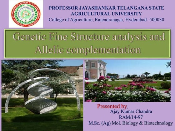 Complementation test | PPT | Genetics | Science