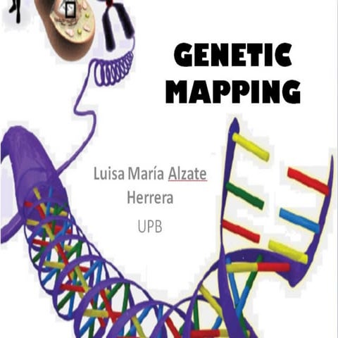 Genetic mapping | PPT