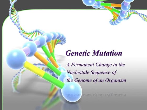 Types of mutation | PPTX
