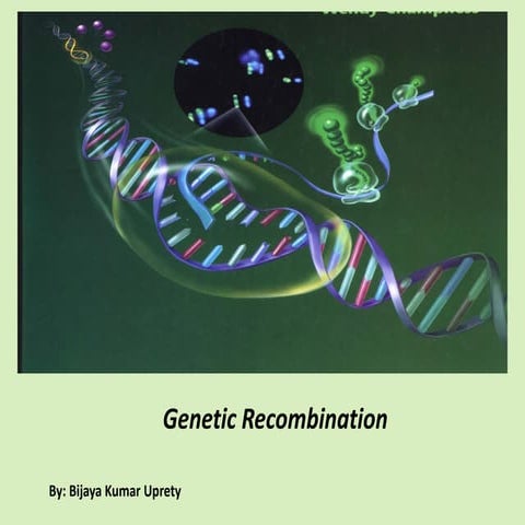 Genetic recombination | PDF