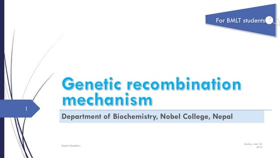 Holliday Model of DNA Recombination | PPTX