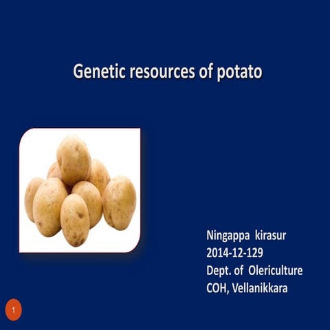 Genetic resources of potato | PPTX