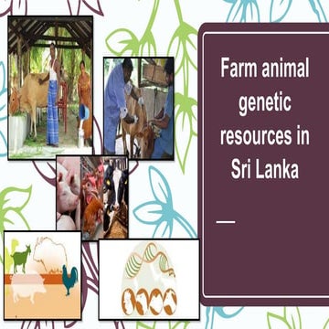 Genetic resources of SL | PPTX