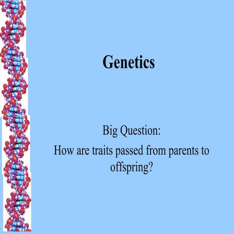 Genes and Heredity.ppt