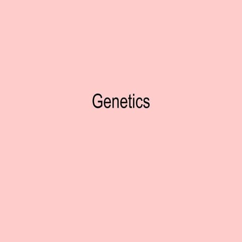 IB Biology Genetics | PPT