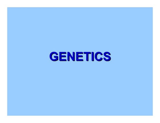 Punnett Squares | PPTX | Genetics | Science