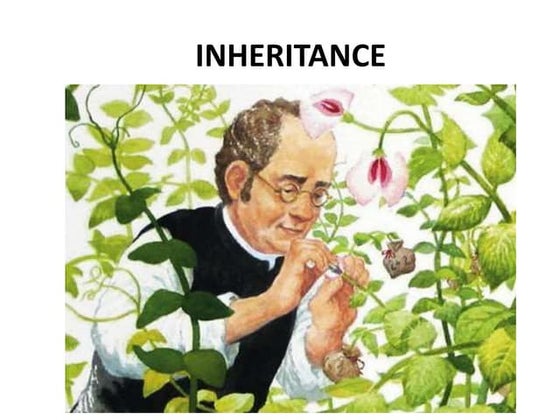 GENETICS 9 science 9 grade 9 curriculum.pptx | Genetics | Science