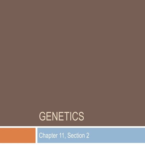 Genetics Pptx