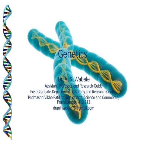 Genetics | PDF