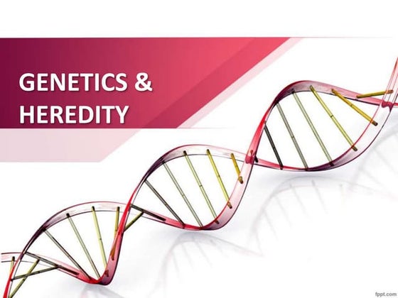 Non-Mendelian Inheritance | PPT