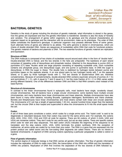 The structure & function of genes | PPTX | Genetics | Science