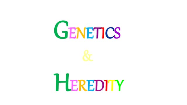 Introduction to Genetics.ppt