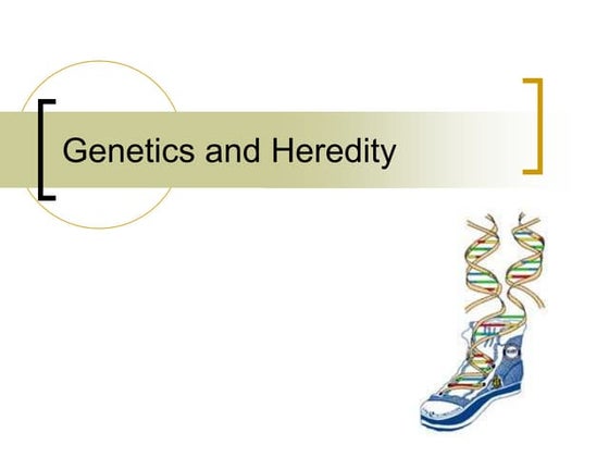 Introduction to Genetics.ppt