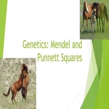 Science 8 4th Qtr Lesson 4 Mendelian Pattern of Inheritance.pptx