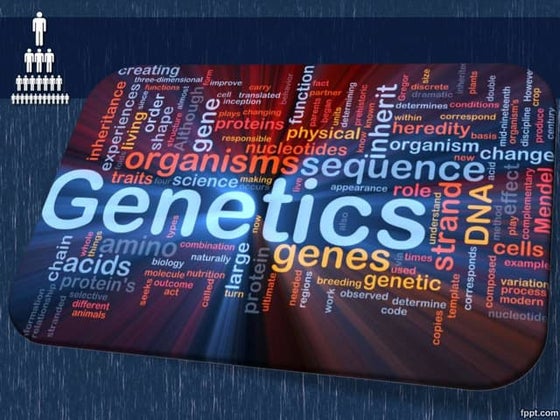 GENETICS 9 science 9 grade 9 curriculum.pptx | Genetics | Science