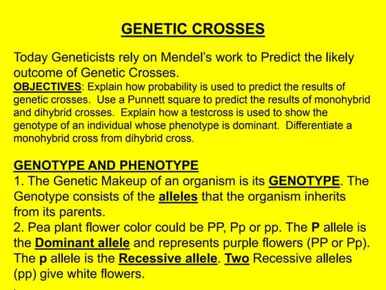 Probability and Genetics | PPTX | Genetics | Science