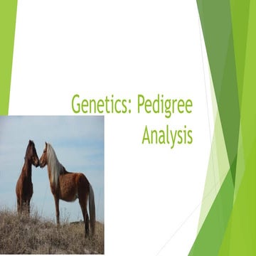 Genetics-Pedigree-Analysis-PowerPoint.pdf