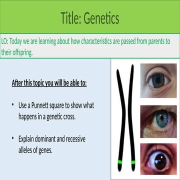 Genetics-Year-9-Key-Stage-3-Troilor.pptx