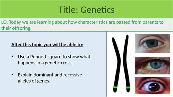 A detailed lesson plan in biology for grade 9 | DOCX | Genetics | Science