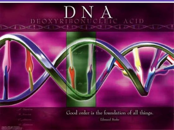 Explanation of X-Linked inheritance | PPTX | Infertility | Reproductive ...