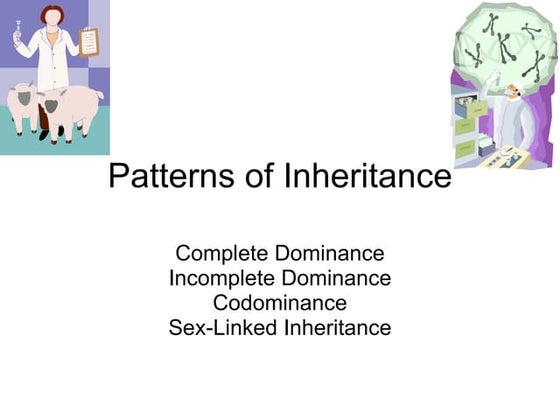 Genetics 9 Science 9 Grade 9 Curriculumpptx Genetics Science 1578