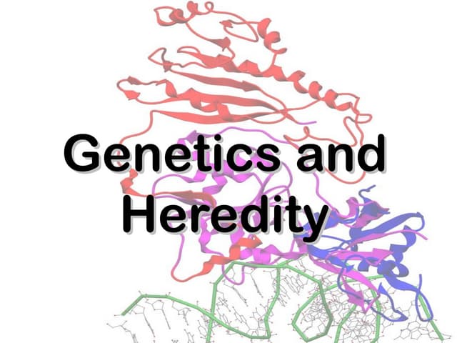 Introduction To Genetics Ppt