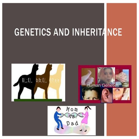 Genetics and inheritance | PPT