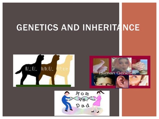 Genetics and Evolution | DOCX