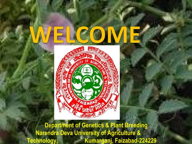 Plant Breeding Methods | PPTX