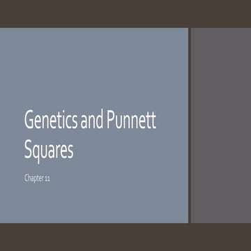 Genetics and punnett squares | PPTX | Genetics | Science
