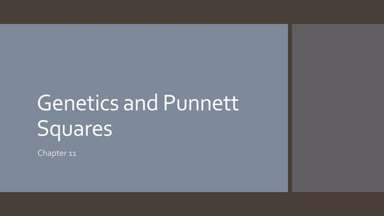 Punnett square practice | PPTX | Genetics | Science